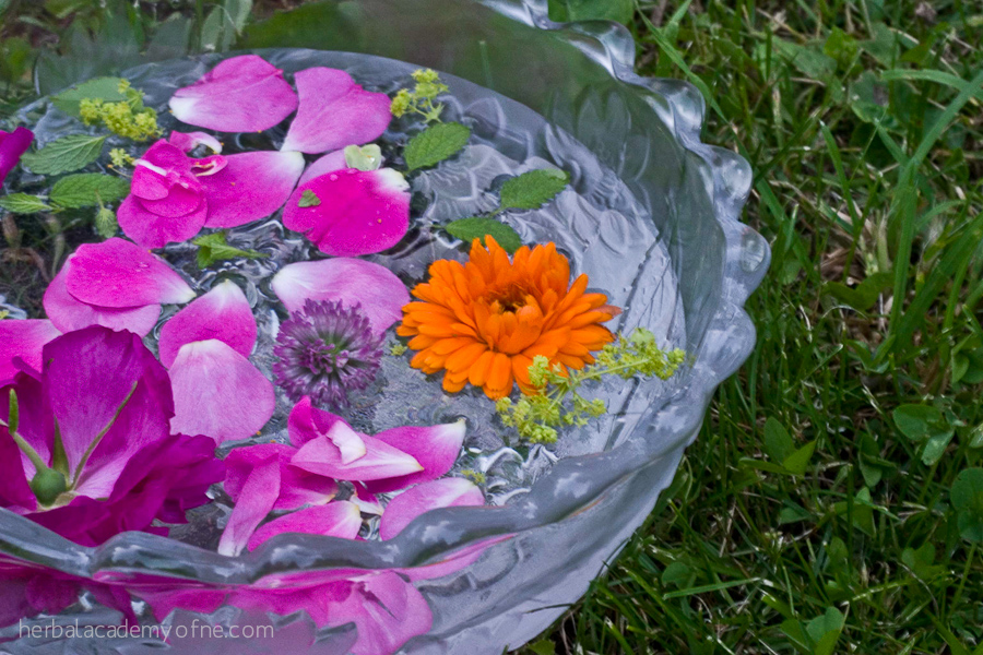 How to Make Flower Water