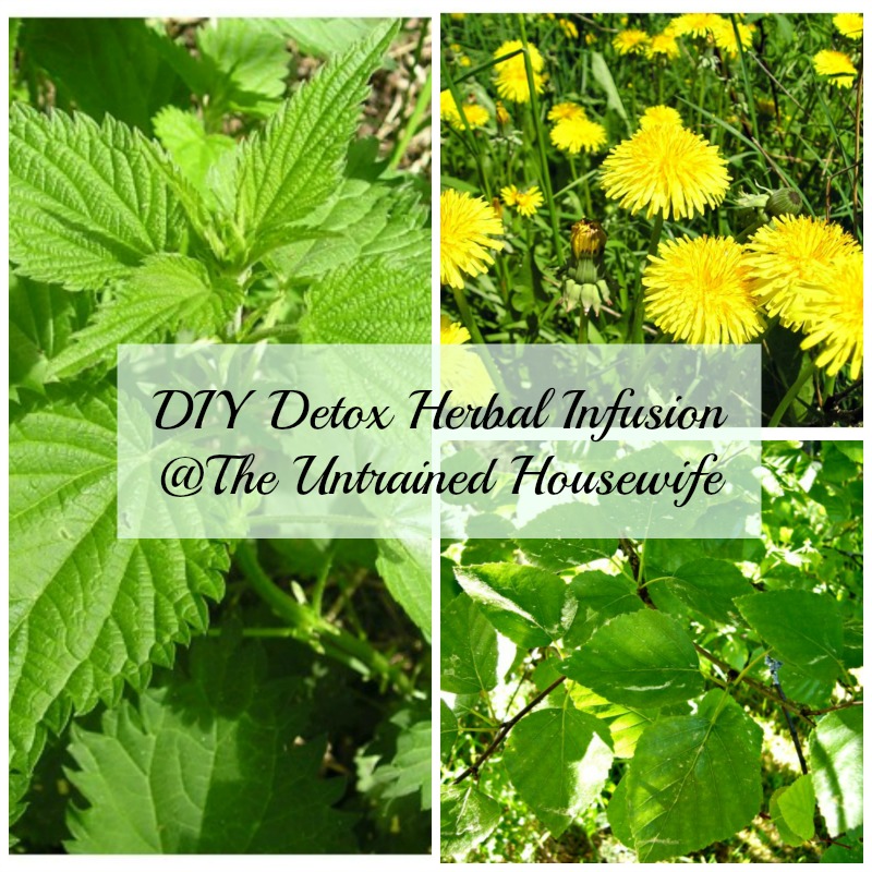 How to Make a Detox Herbal Infusion
